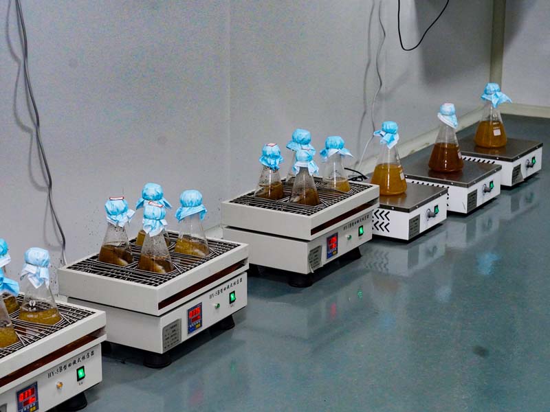 The Advantages of Liquid Spawn in Modern Mushroom Cultivation ...